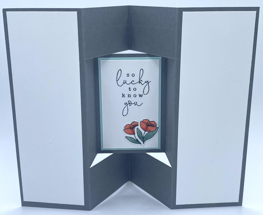 How to Make an Accordion Pop Out Panel Card with the Country Woods ...