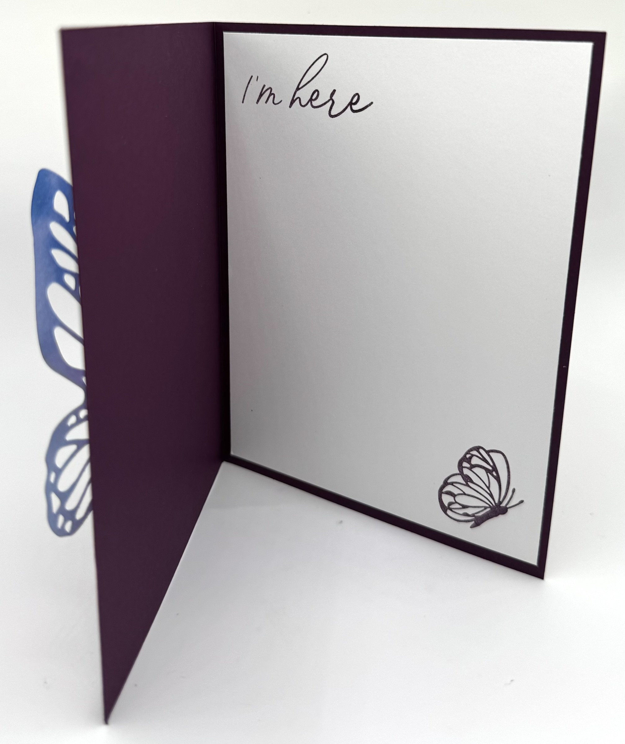 Make a Pretty Pleated Front Layout Card with Beautiful Butterflies ...